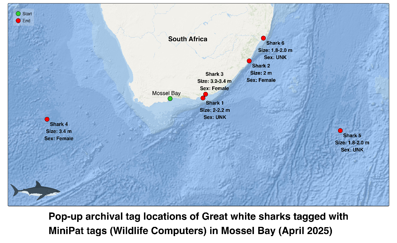 Where did the tags pop off? Early results from the April 2025 white ...